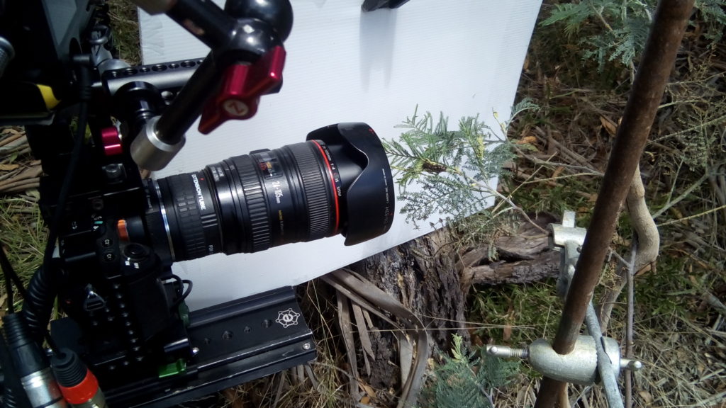 Behind the Scenes: Macro filming in the field – Insights on Nature